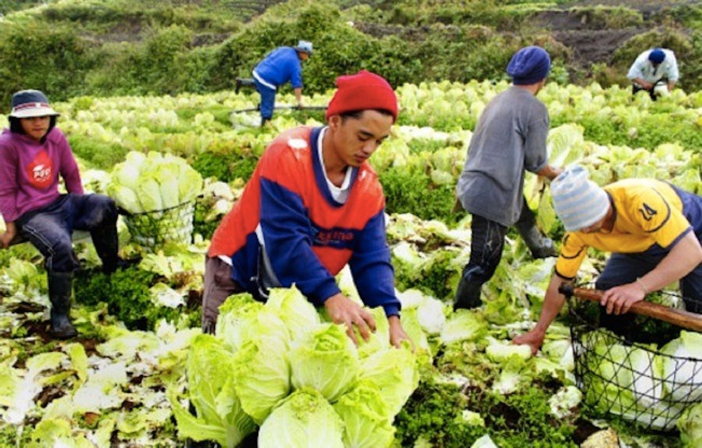 打造真實版開心農場Cropital，Everett Ubiadas和他的農業夢 | Meet創業小聚