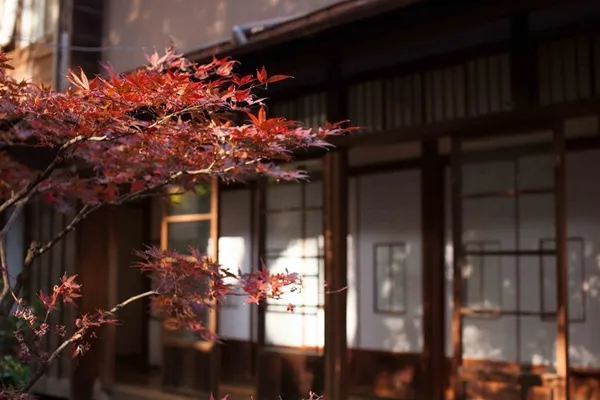 改造日式老民宅的人氣旅宿！「Guest House toco.」體驗東京在地、懷舊日常 | ShoppingDesign