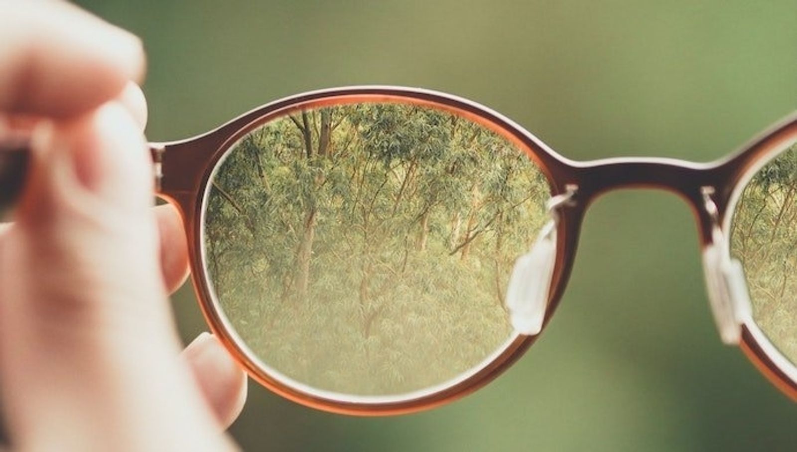 Right from the start: Why transparency is so essential for startups ...