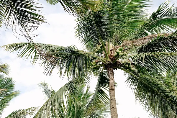 移居後，更快樂嗎？朱平、陳郁敏的土地實驗：台東山海之間的非零農場連結在地，理想生活再進化 | ShoppingDesign