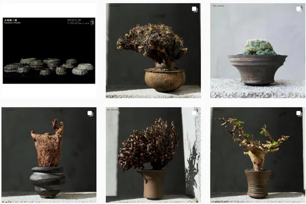 多肉植物台北代表店 ：0343 CONSERVATORY 主理人 Ken Rao 談現代人與植物的連結關係 | ShoppingDesign