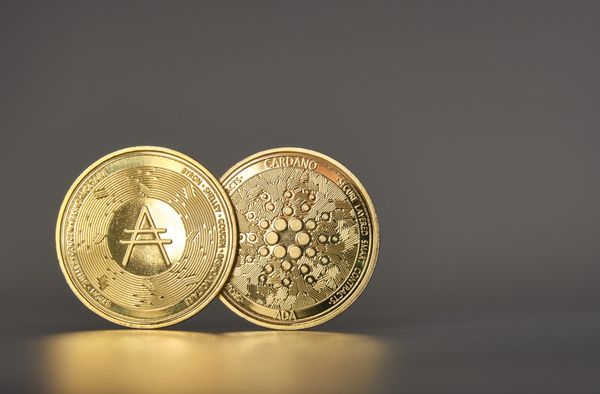 什麼是山寨幣?盤點2023年值得關注的5種加密貨幣|web3
