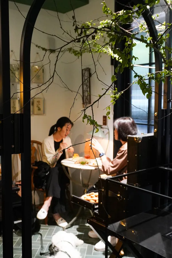 「CNSalon 火山口下的花茶店」開幕！選址圓山花博周邊，集結花草、選品等面向打造美學新據點 | ShoppingDesign