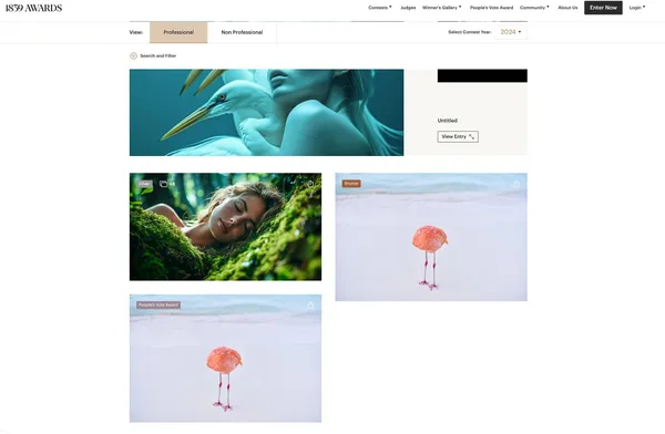 創作並未失去價值！攝影師 Miles Astray 以真實照片贏得 AI 比賽：創造力和情感不是一串指令 | ShoppingDesign