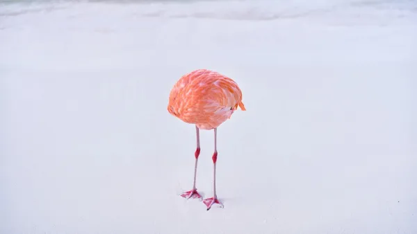 創作並未失去價值！攝影師 Miles Astray 以真實照片贏得 AI 比賽：創造力和情感不是一串指令 | ShoppingDesign